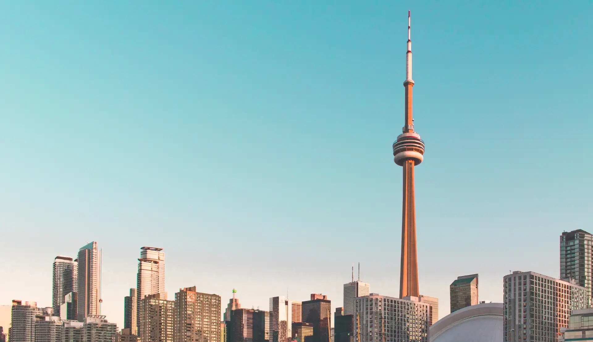 Best Immigration Consultants | IMM Consult | UAE, Sri Lanka, India